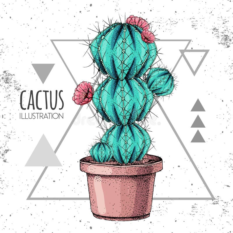 Hand Drawing Cactus Vector Illustration on Grunge Triangle Background ...