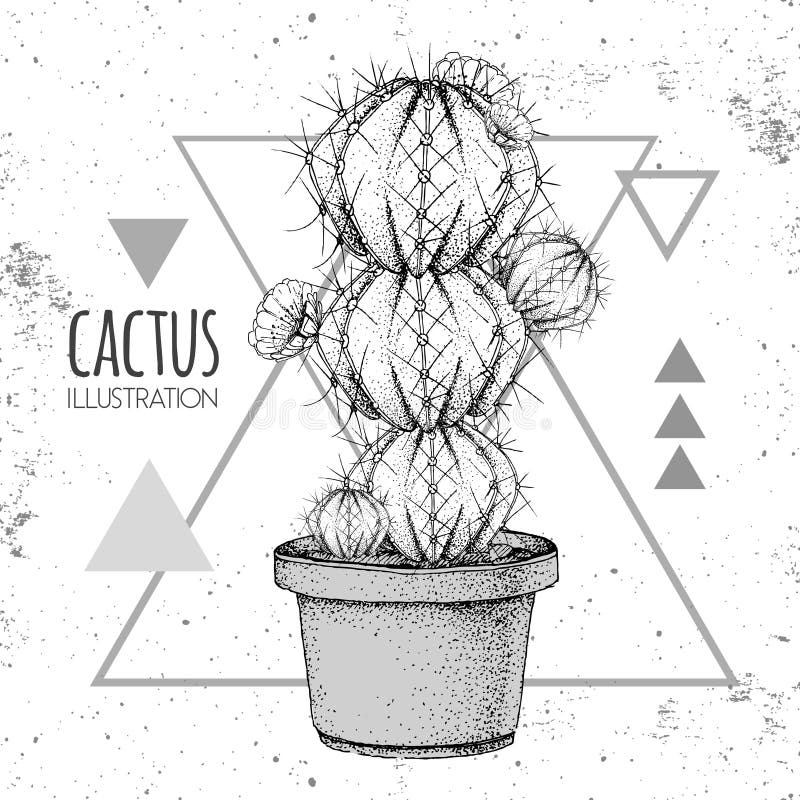 Hand Drawing Cactus Vector Illustration on Grunge Triangle Background ...
