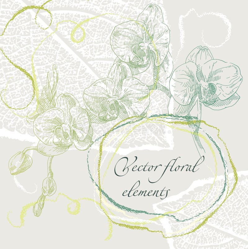 Hand Drawing Card Flower Vector Frames Stock Vector - Illustration of ...