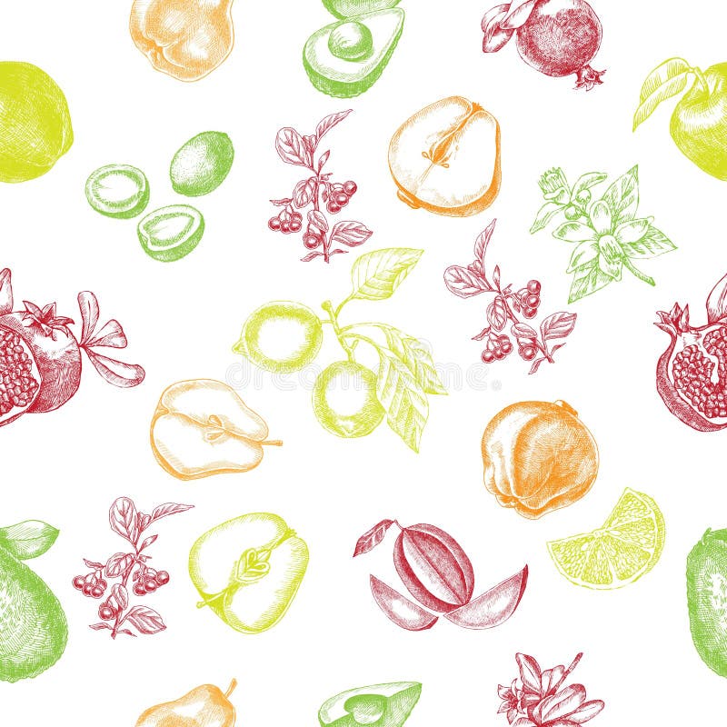 Hand Drawing Colorful Fruit Pattern. Stock Illustration - Illustration ...