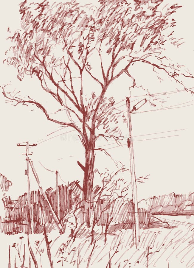 Hand Drawing of Country Village Landscape with Old Tree and Power Line ...