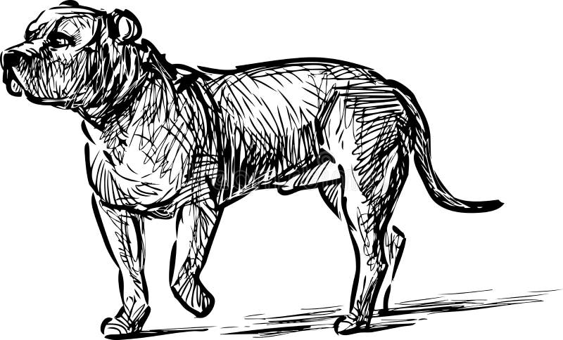 Duard Dog Stock Illustrations – 1 Duard Dog Stock Illustrations ...