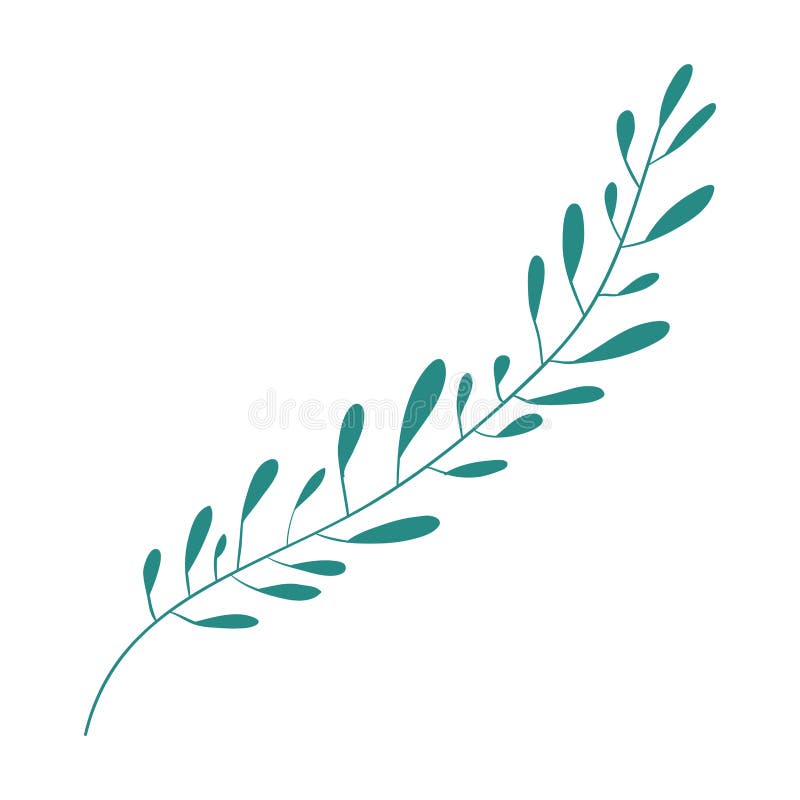 Hand Drawing Green Color Leaf with Several Ramifications Stock Vector ...