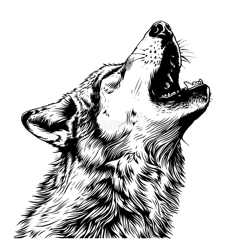 Hand Drawing of a Howling Wolf Stock Vector - Illustration of beast ...