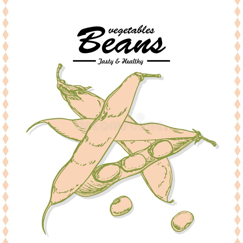 Hand Drawing Illustration of a Beans Stock Vector - Illustration of ...