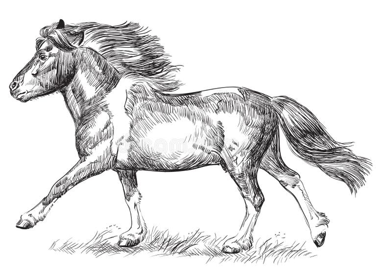 Pony Stock Illustrations – 76,694 Pony Stock Illustrations, Vectors ...