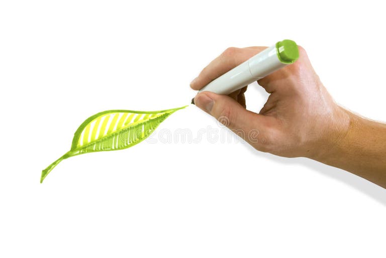 Hand drawing leaf stock photo. Image of isolated, handwriting - 7161664