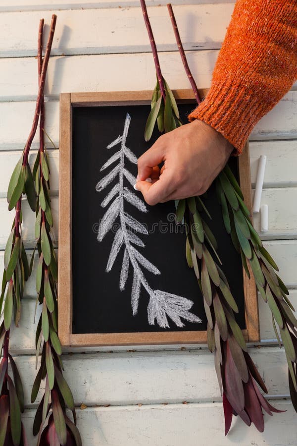 Hand Drawing Leaves on Slate Stock Photo - Image of adult, leaves: 97029808