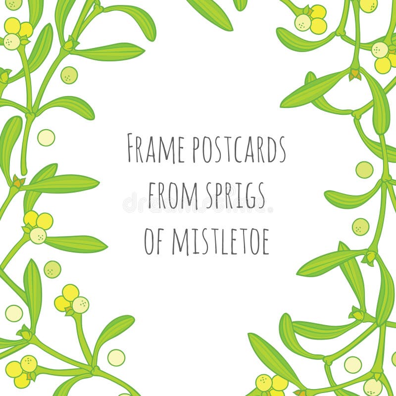 Hand Drawing Mistletoe Frame Stock Vector - Illustration of season ...
