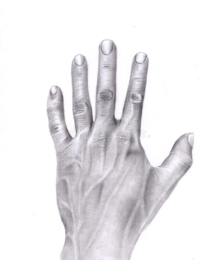 Hand stock illustration. Illustration of wallpaper, hand - 152728787