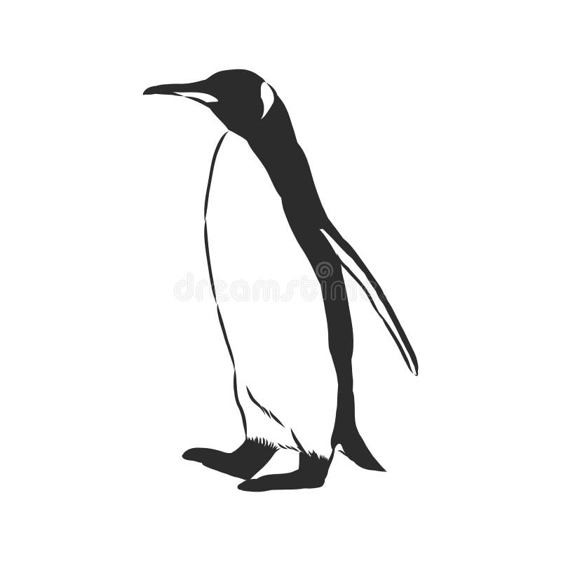Hand Drawing Penguins. Vector Illustration, Penguin, Vector Sketch ...