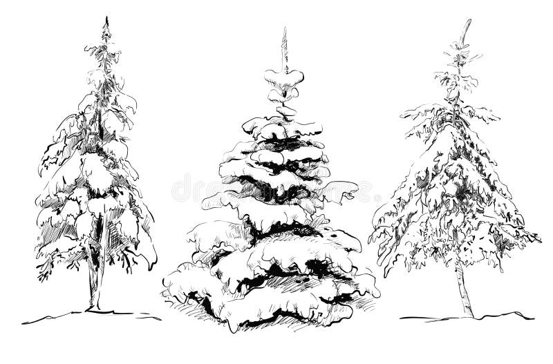Hand Drawing Pine Set. Vector Illustration Stock Vector - Illustration ...