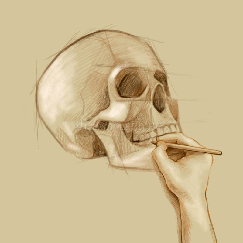 Hand drawing scull sketch stock illustration. Illustration of drawing ...