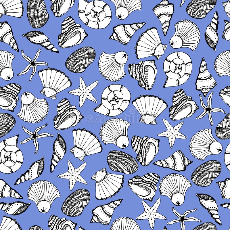 Hand Drawing Shell Pattern for Postcard Banner Textile Stock ...