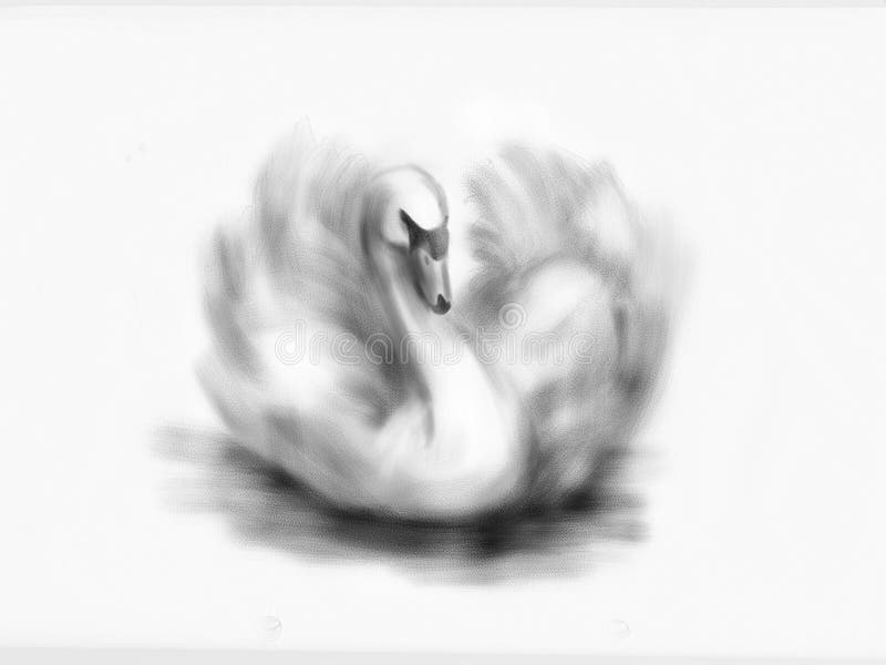 Hand Drawing Swan. Digital Illustration Stock Illustration ...