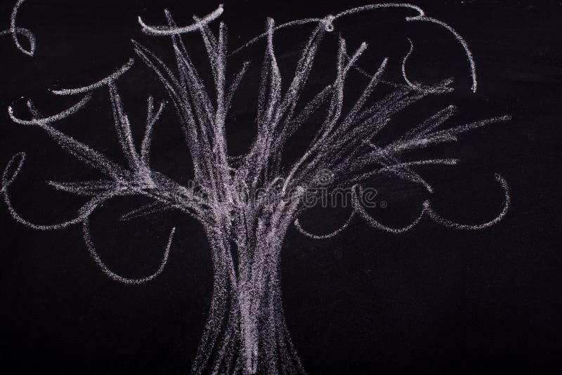 Hand Drawing of Tree with Chalk on Blackboard Stock Image - Image of ...