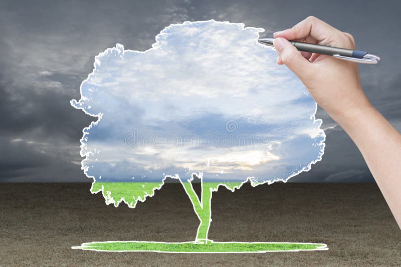 Hand Drawing a Tree on the Grass Field Stock Photo - Image of field ...