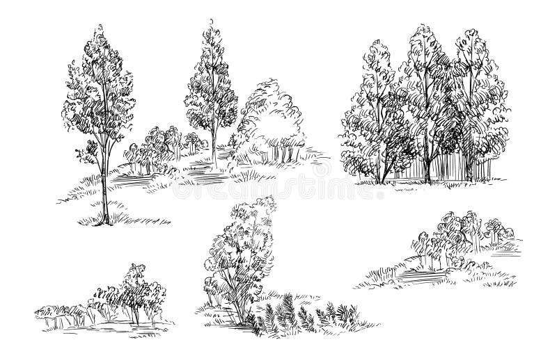 Hand Drawing Trees and Shrubs Set Vector Illustration Stock ...