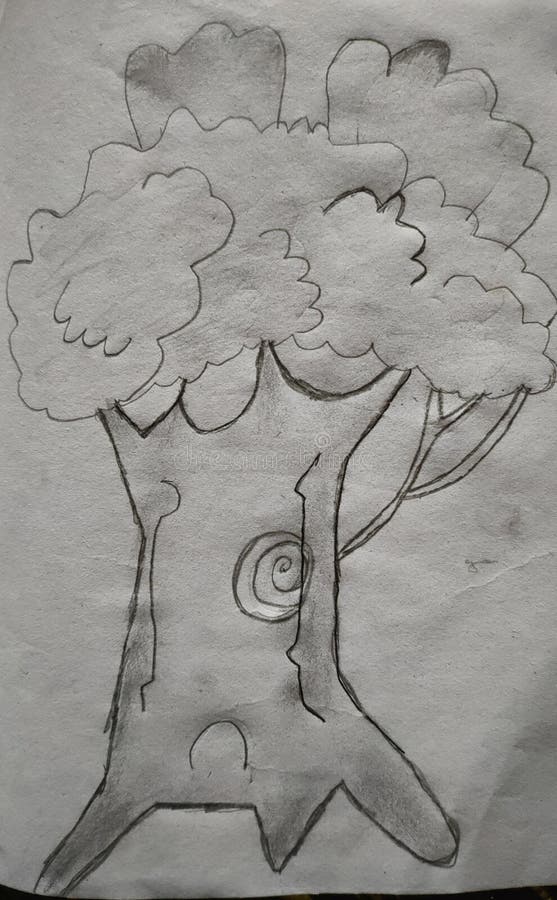 Hand DrawingTree, Tree Drawing Stock Photo - Image of monochrome ...