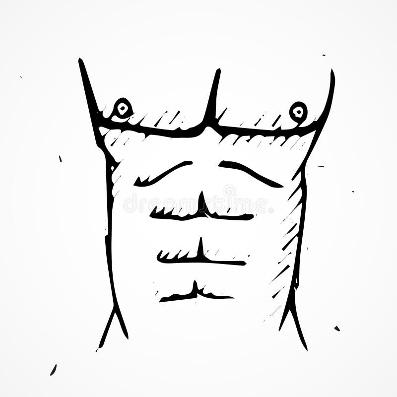 Hand drawn abs Vector stock illustration. Illustration of shirtless ...