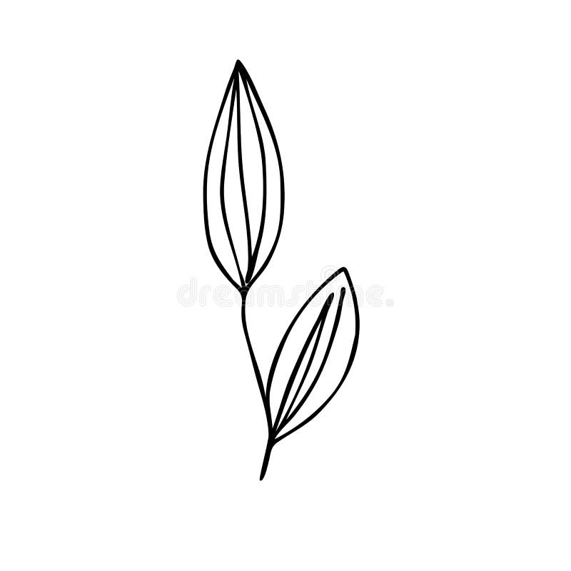 Hand Drawn Abstract Floral Sprig Silhouette. Black and White Outline ...