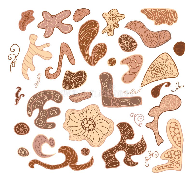 Hand Drawn Abstract Shapes Collection and Shapes. Set of Abstract ...