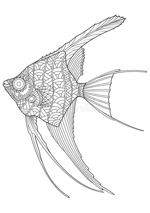Hand Drawn Angel Fish Coloring Page Stock Vector - Illustration of ...