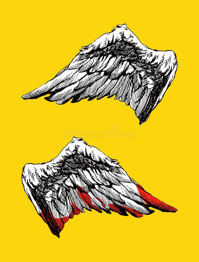 Hand Drawn Angel Wings Vector Stock Vector - Illustration of graphic ...