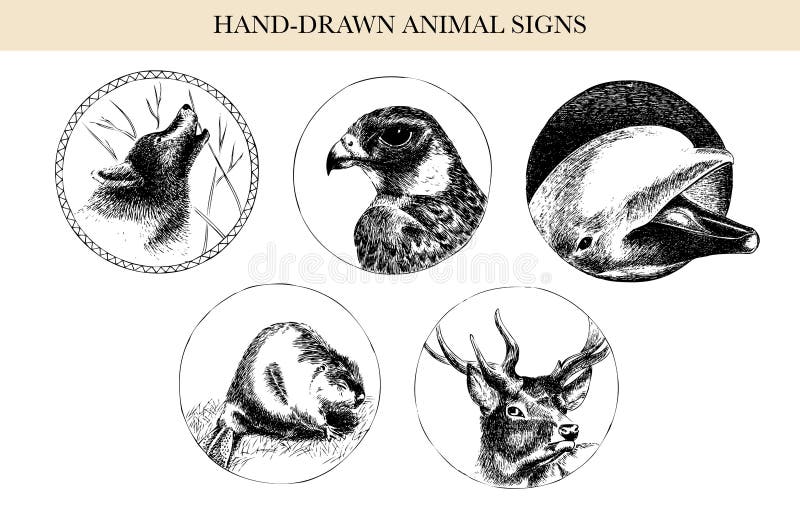 Hand-drawn Animal Signs Set Stock Vector - Illustration of bird, water ...