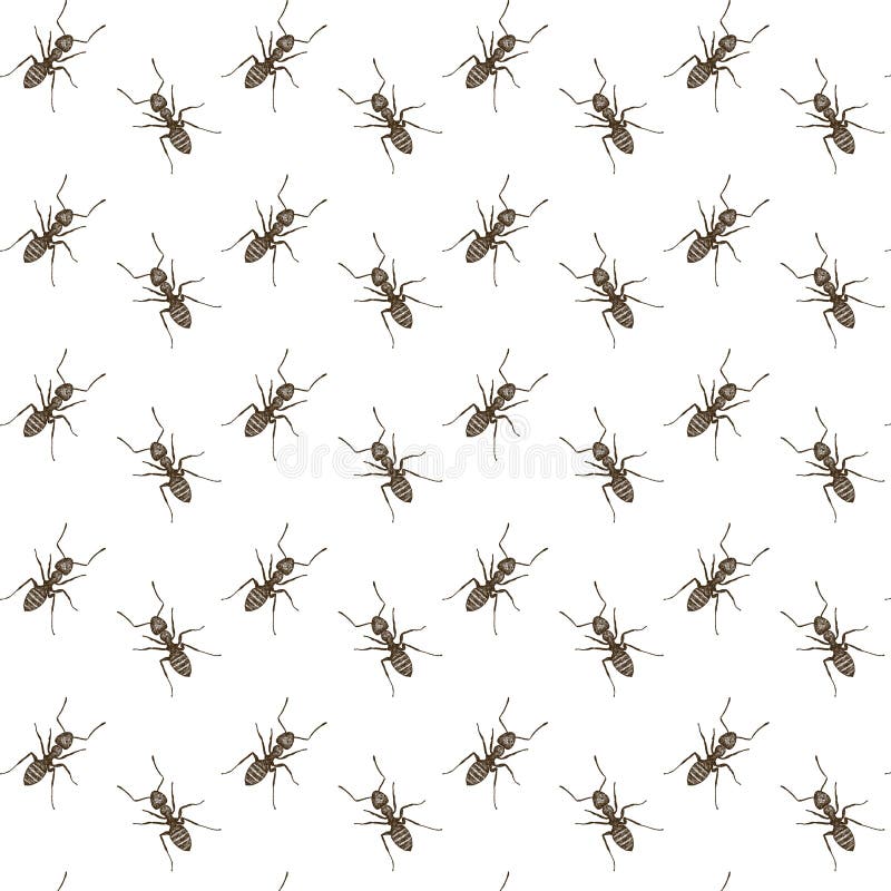 Hand Drawn Ants Seamless Pattern Stock Vector - Illustration of stitch ...