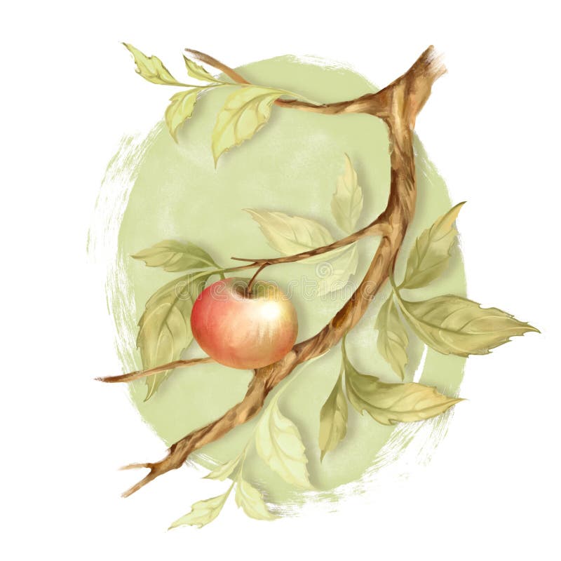Hand Drawn Apple Tree Branch with Apple and Leaves. Stock Illustration ...