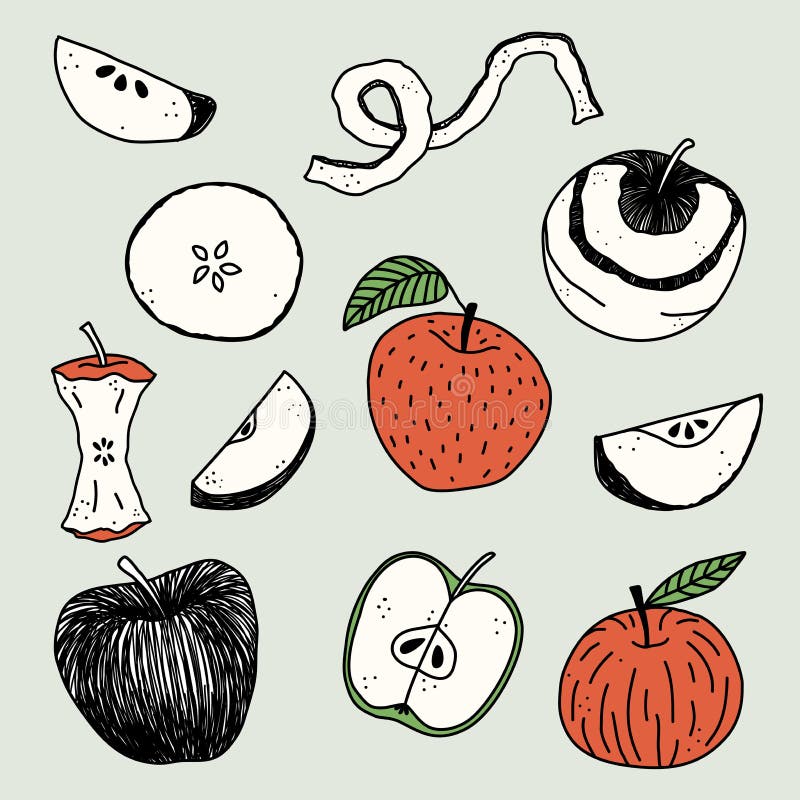 Hand Drawn Apples Illustration Stock Illustration - Illustration of ...
