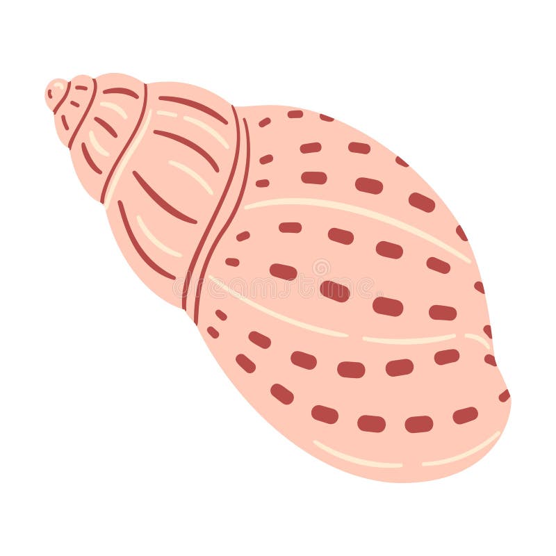 Seashell Hand Drawn. Cartoon Style Flat Illustration Seashell Isolated ...