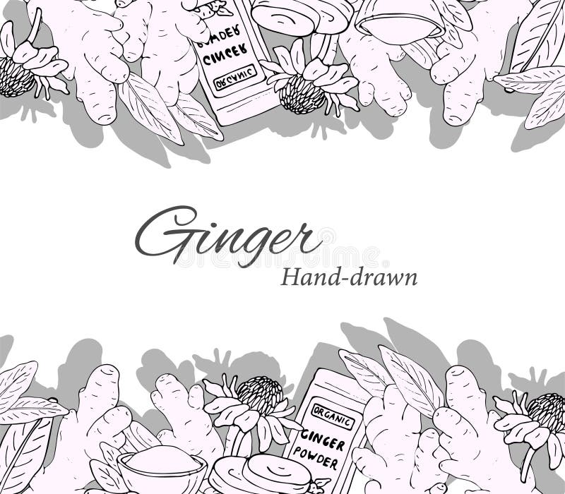 Ginger doodle set stock vector. Illustration of recipe - 280695803