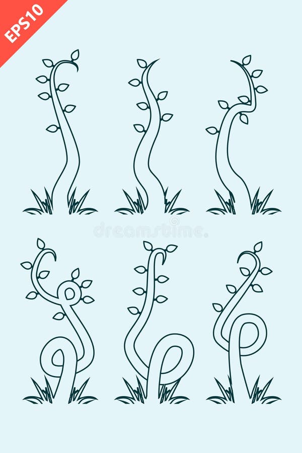 Hand Drawn Beanstalk Design Vector Flat Isolated Illustration Stock ...
