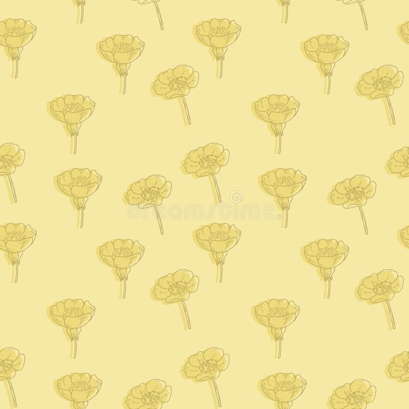 Beautiful Seamless Buttercup Pattern. Vector Illustration Stock Vector ...