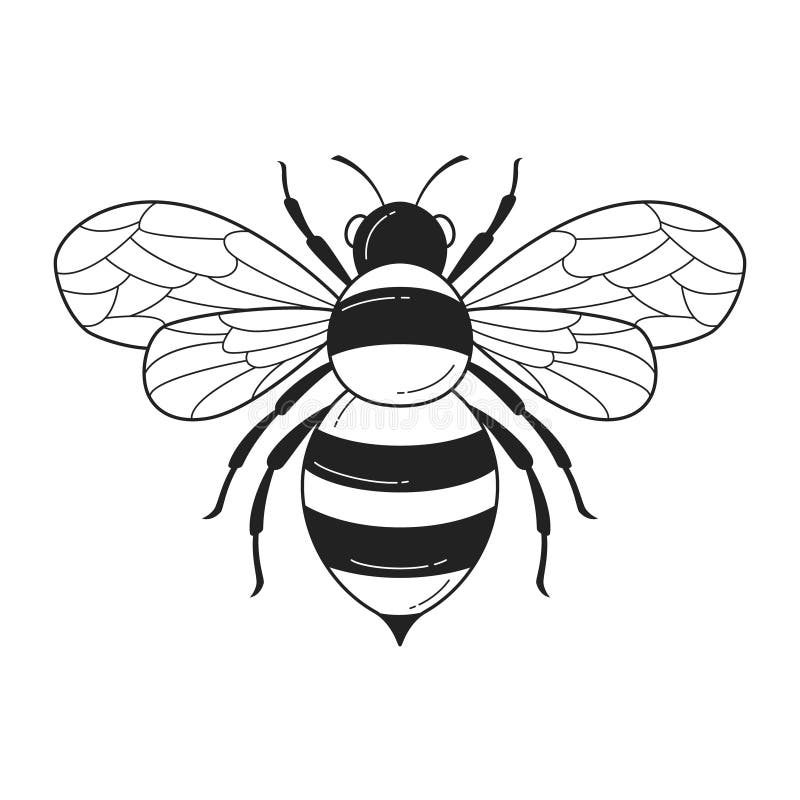 Hand Drawn Bee Outline Illustration Vector Illustration. Stock Vector ...