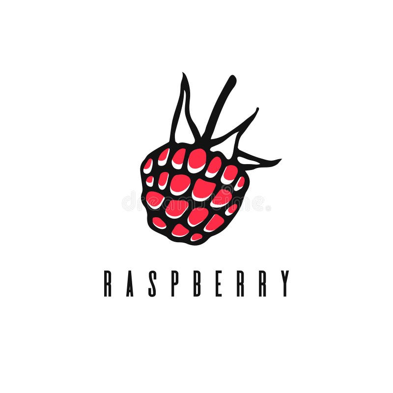 Hand Drawn Berry. Design Element with Raspberry Isolated on White Stock ...