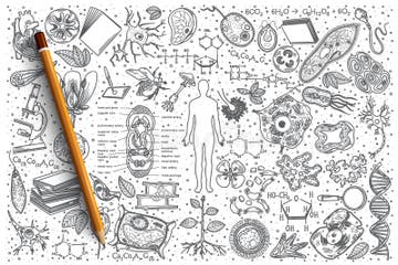 Biology Doodle Background Stock Illustrations – 17,377 Biology Doodle ...