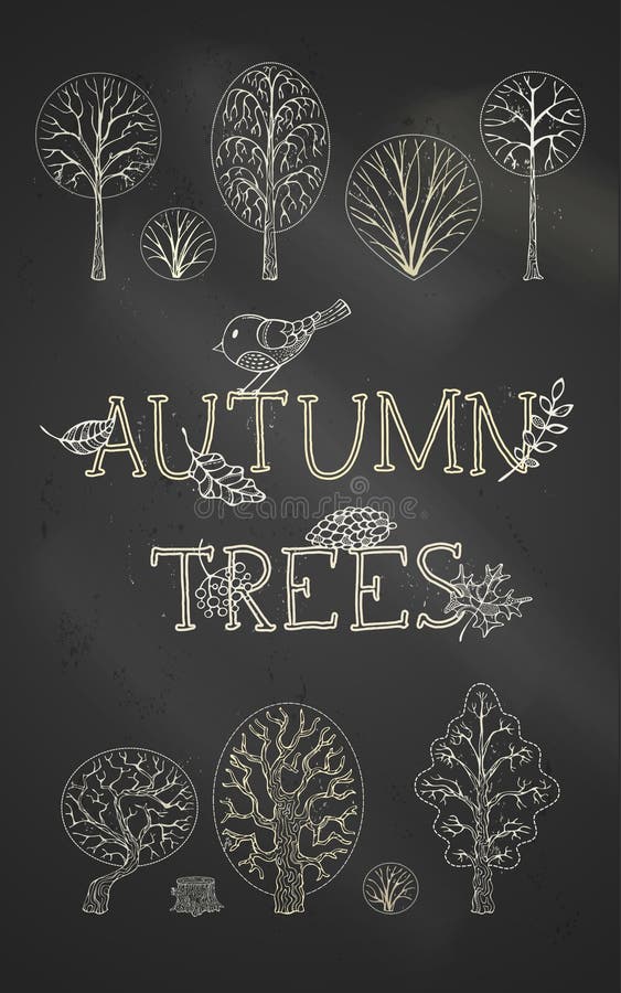 Vector Set of Chalk Trees on Blackboard Background. Stock Vector ...