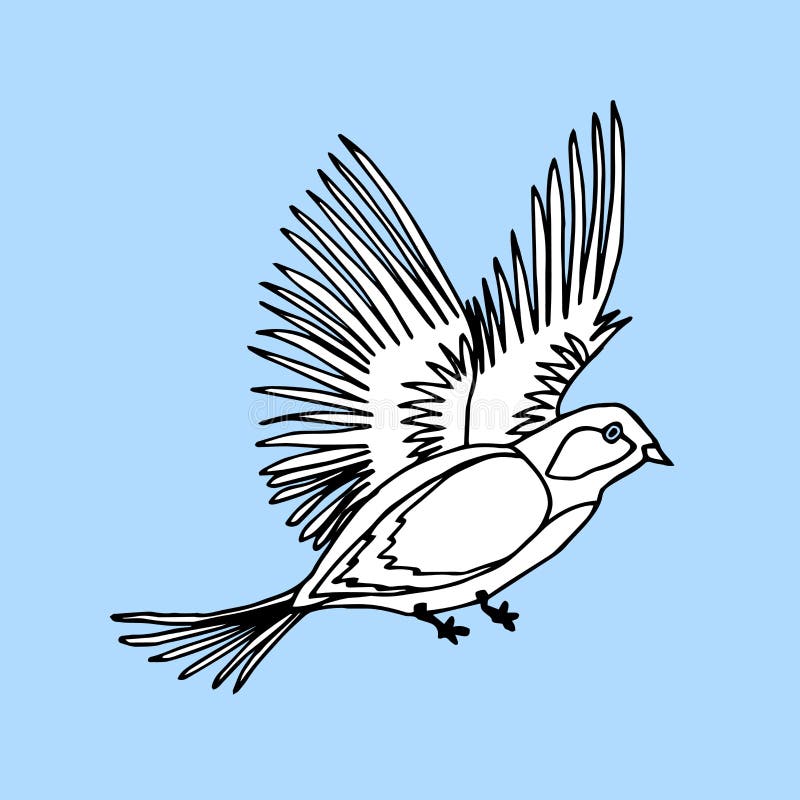 Hand Drawn Bird in Doodle Style. the Bird is Flying Isolated on Light ...
