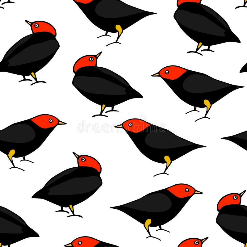 Bird Manakin Stock Illustrations – 36 Bird Manakin Stock Illustrations ...