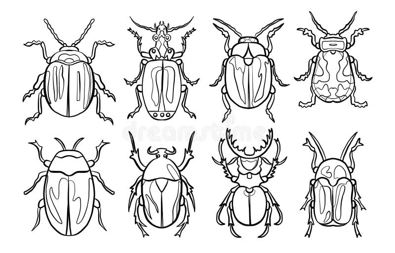 Hand Drawn Black Line Tropical Bug Icon Set Isolated on White. Doodle ...
