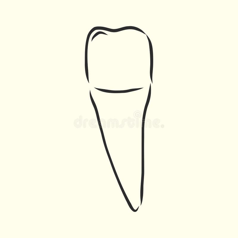 Continuous Line Drawing of Tooth. Tooth Line Icon. One Line Drawing ...