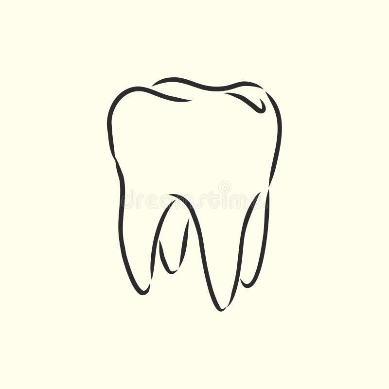 Hand-drawn Black Lines Sketch Molar, Tooth. Doodle Drawing Stock ...