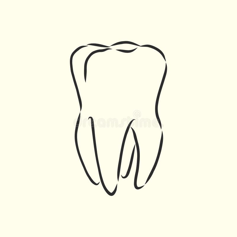Molar Sketch Stock Illustrations – 736 Molar Sketch Stock Illustrations ...