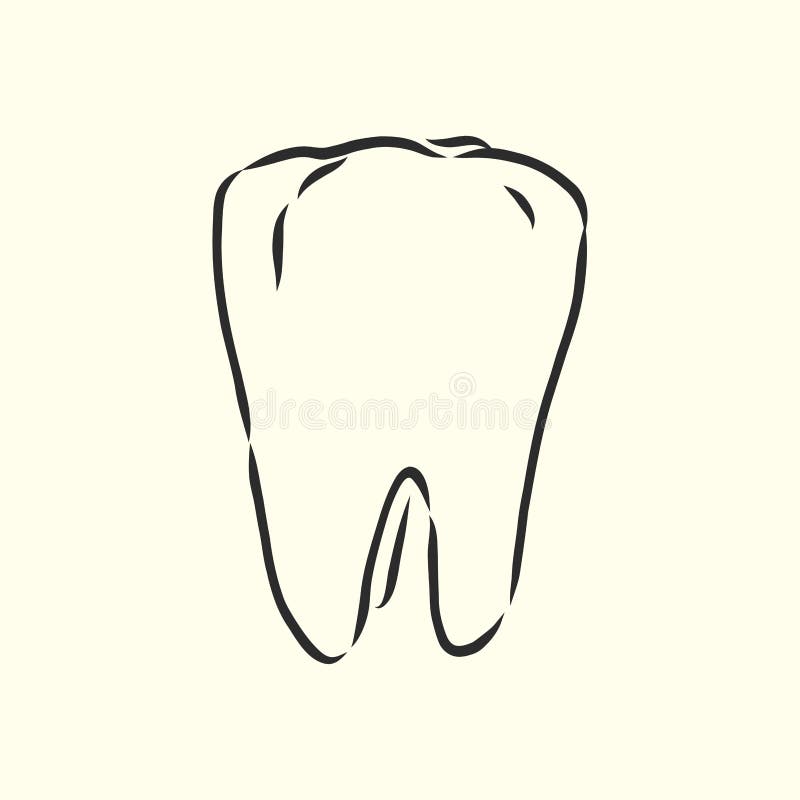 Hand-drawn Black Lines Sketch Molar, Tooth. Doodle Drawing Stock ...