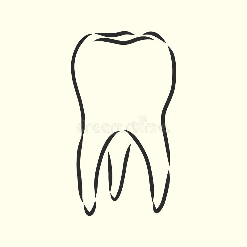 Hand-drawn Black Lines Sketch Molar, Tooth. Doodle Drawing Stock ...