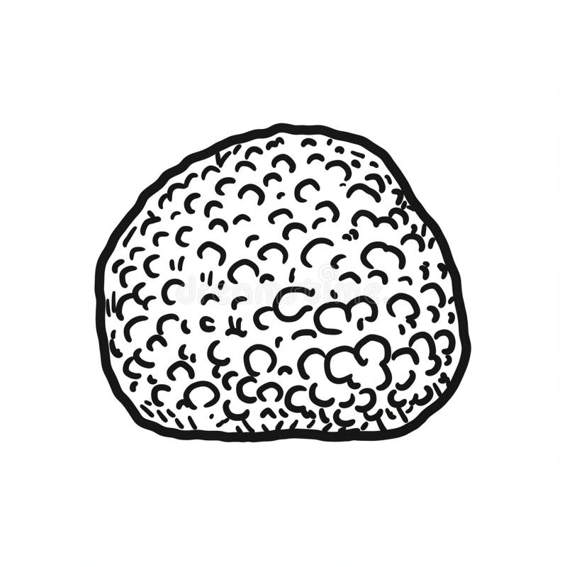 Hand-drawn Black and White Illustration of a Textured, Rounded Object ...