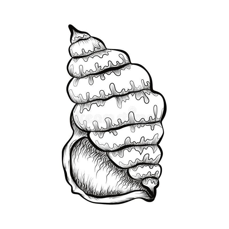 Black Pearl in the Shell. Hand Drawn Watercolor Illustration Isolated ...